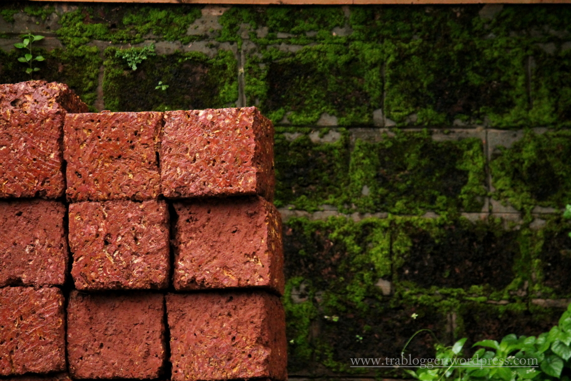 Better Your Photography Before The Mundane Monday - Trablogger