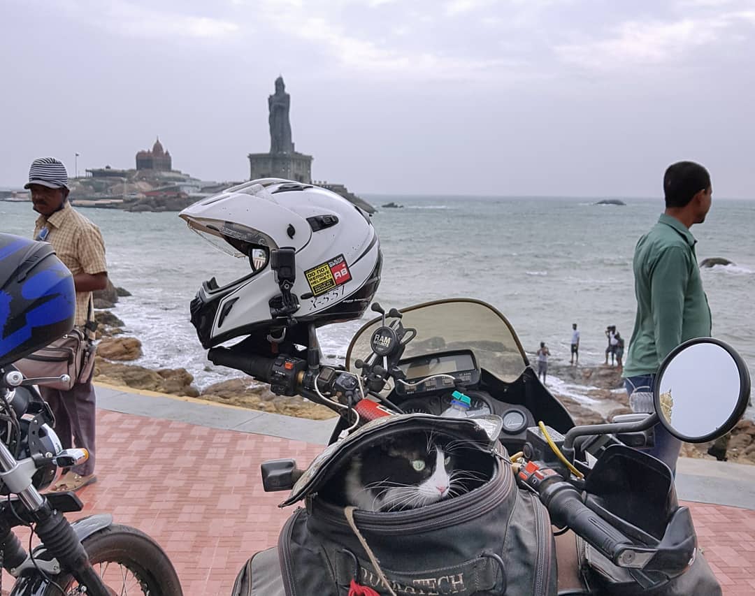 Around the world on a motorbike with a cat : Story of Motomogli ...
